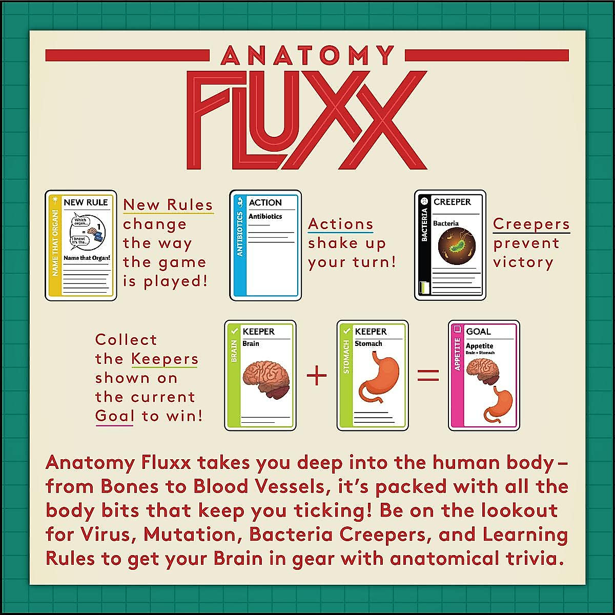 Looney Labs Anatomy Fluxx Card Game - Varied Gameplay and Doctor-Approved Learning