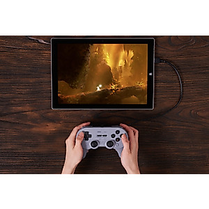 8BitDo Pro 2 Wired Controller for Switch, Windows, Steam Deck & Raspberry Pi (Gray Edition)