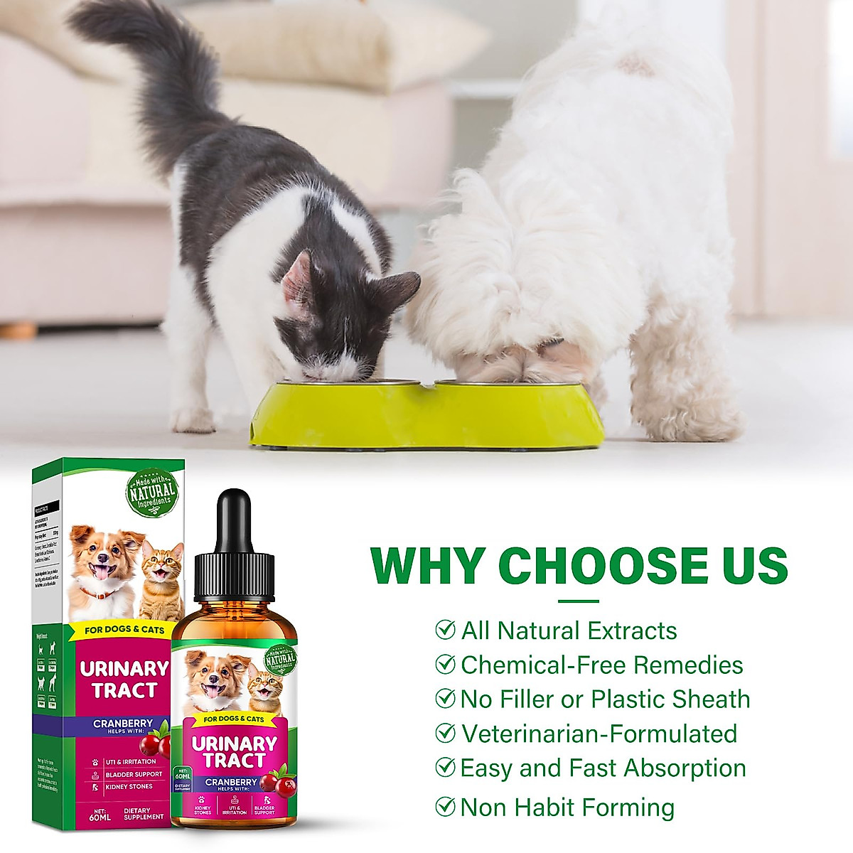 Urinary Tract Infection Treatment Drops for Dogs, UTI Treatment with Cranberry-Kidney for Pet Renal Health, Prevent Incontinence & Bladder Stones