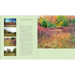 Garden Revolution: How Our Landscapes Can Be a Source of Environmental Change