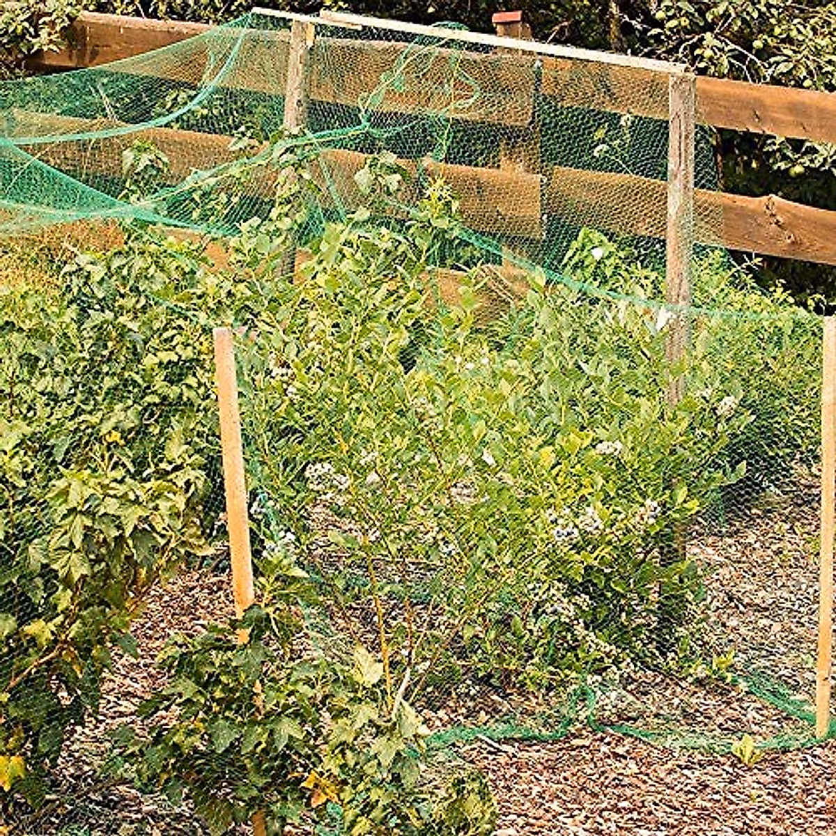 33 Ft x 6.5 Ft Green Anti Bird Netting Garden Protection Mesh Net Reusable Protective Garden Netting for Plants Fruit Trees Against Birds,Deer and Other Animals,Netting Fence (33 x 6.5 ft)