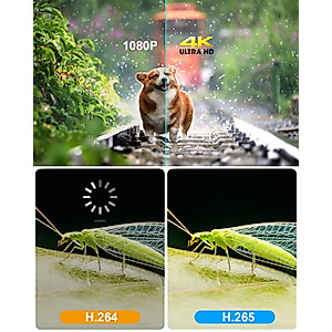 TV Box Android OS 4GB RAM 32GB ROM Quad-Core Cortex-A53 CPU Smart Media Player 2.4G 5G Dual Band WiFi Bluetooth 5.0 HDMI 4K Set Top Box for TV with Ethernet 10/100M
