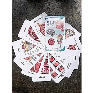 SLP Pocket Charts