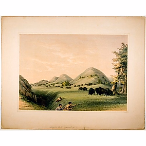 [Buffalo Hunt, Approaching in a Ravine