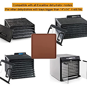 4 PCS Extra Thick Silicone Dehydrator Sheets With Edge - Silicone Fruit Vegetables Leather Dehydrator Trays for Liquids - Trays Liner for Dehydrator - Kitchen Dehydrator Mats Accessories