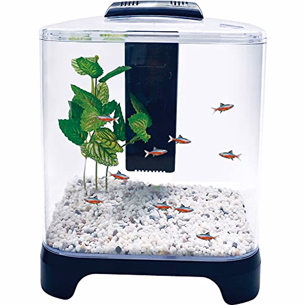 PENN-PLAX NuWave Betta Fish Tank Kit with LED Light and Internal Filter – Black – 1.5 Gallon