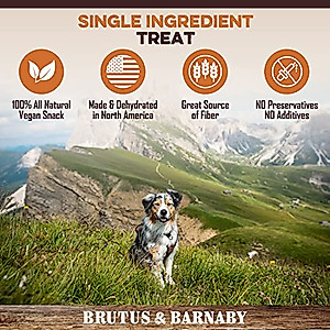 Sweet Potato Slices For Dogs - Single Ingredient Grain Free Dog Treats, Best High Anti-Oxidant Healthy 100% Natural Thick Cut Dried Sweet Potato Dog Treats With No Added Preservatives (2lb)