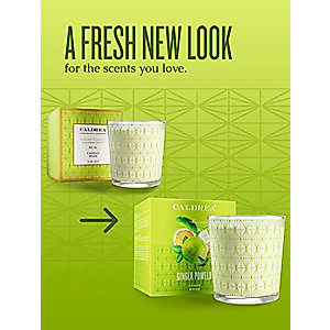 Caldrea Scented Candle, Made with Essential Oils and Other Thoughtfully Chosen Ingredients, 45 Hour Burn Time, Ginger Pomelo Scent, 8.1 oz