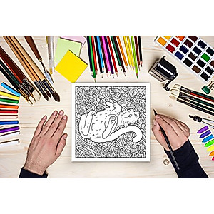 Cat Butt: An Off-Color Adult Coloring Book for Cat Lovers