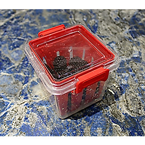 Fruit and Vegetable Saver Storage Basket Strawberries Blueberries - Promotes Airflow and Prevents Spoilage Produce Storage Container with Lid BPA-FREE