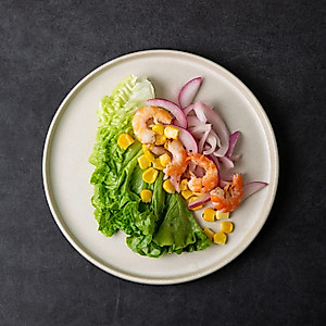 AmorArc Ceramic Dinner Salad Plates Set of 4, 8.0 Inch Reactive Matte Glaze Dish Set, Dessert,Salad, Appetizer, Small Dinner Plate,Microwave, Dishwasher Safe, Scratch Resistant, Ivory