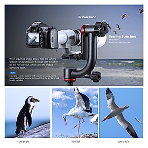 Neewer GM100 Professional Heavy Duty Carbon Fiber Gimbal Tripod Head with 1/4” Quick Release Plate, Bearing Structure Supports Smoother 360 Degree Panoramic Shooting for DSLR Camera Up to 30lbs/13.6kg