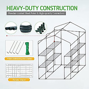 VIVOSUN 57x57x77-Inch Transparent Mini Walk-in Green House with Window and Anchor, Plant Garden Hot House 2 Tiers 8 Shelves, 4.7 x 4.7 x 6.4 FT