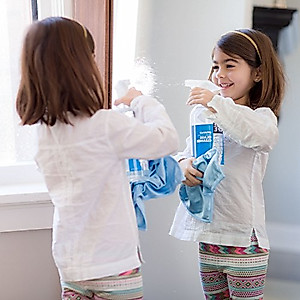 Better Life Natural Streak Free Glass Cleaner, 32 Ounces (Pack of 2), 24425