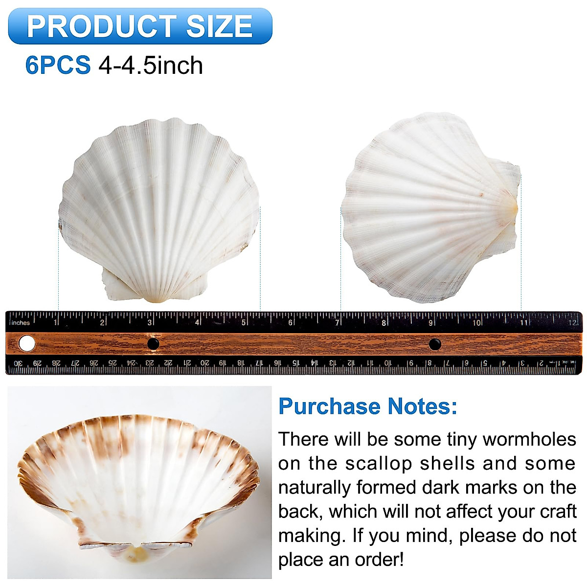 QEQEKAKA 6PCS Scallop Shells 4‘’-4.5" Natural Sea Shells White Hawaiian Scallop Shells for Baking DIY Craft Home Vase Fillers & Beach Wedding Party Decor