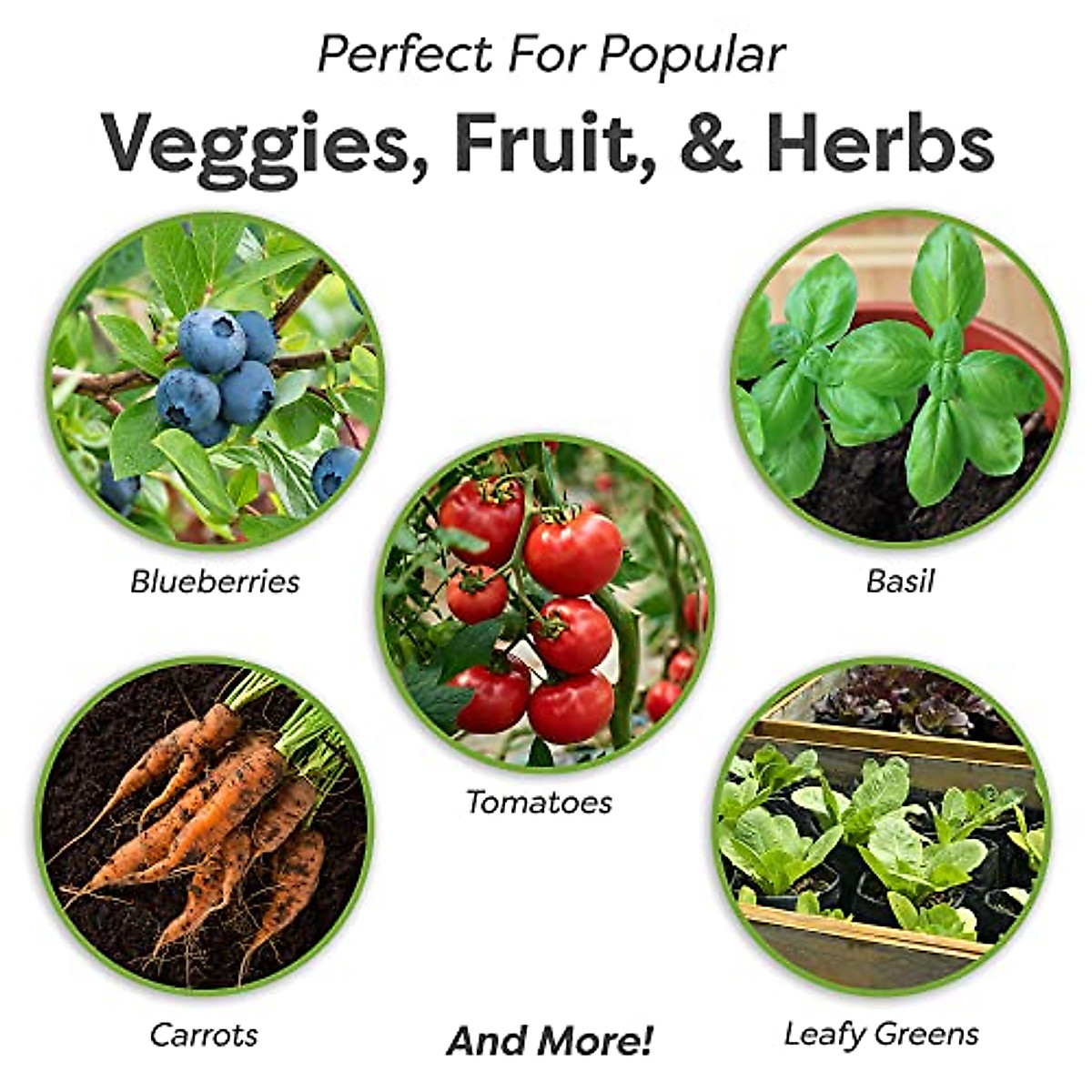 Organic Potting Mix by Perfect Plants for All Plant Types - 8qts for Indoor and Outdoor Use, Great for Veggies, Spices, and Holistic Herbs