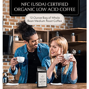 Lifeboost Coffee French Vanilla Ground Coffee - Low Acid Single Origin USDA Organic Coffee - Non-GMO Ground Coffee Beans Third Party Tested For Mycotoxins & Pesticides - 12 Ounces