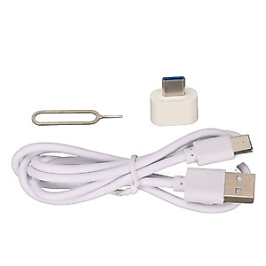 LBEC 10.1 Inch Tablet, HD Tablet 100240V Dual SIM Dual Standby for Home (US Plug)