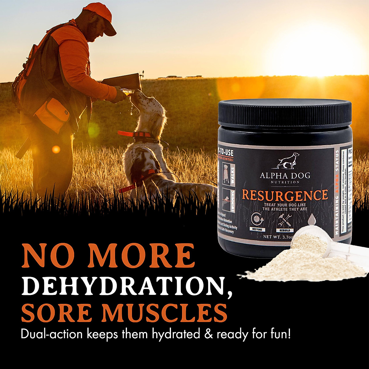 Resurgence Dog Electrolytes by Alpha Dog Nutrition | Promote Dog Hydration, Increase Stamina, and Boost Recovery | Electrolyte Water Additive or Food Topper to Prevent Dehydration with Beef Flavoring