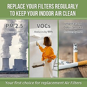 Nisreen PB-P01 Replacement Filter Compatible with Pro Breeze Air Pu-rifier Filter Replacement Model PB-P01, Compare to Part# PB-P01F, 4-IN-1 PB-P01F-US Filter with H13 True HEPA, 2-Pack