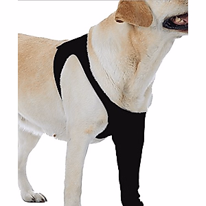Suitical Recovery Sleeve for Dogs | Front Leg Protection After Surgery | Dog Leg Sleeve to Stop Licking | Machine Washable | Chest Circumference 25.2”- 33.1” | Sleeve Length 13.8” | L | Single Sleeve