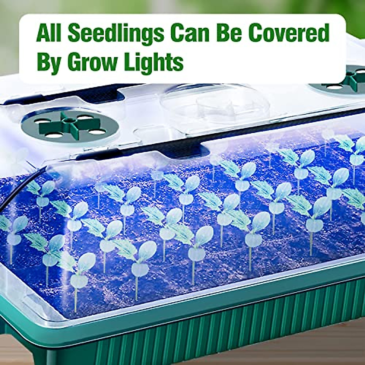 Kirababy Seed Starter Tray with Grow Light, 2 Packs Seed Tray Kits with 80-Cell/Seedling Tray with Humidity Dome/Indoor Grow Kit for Deep-Rooted Seedlings