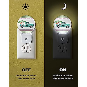 Night Light Plug into Wall, LED Nightlights Easter Truck with Carrot Bunny Green Plaid Pattern Small Nightlight Auto Dusk-to-Dawn Sensor Lamp LED Night Lights for Kid's Bedroom, Bathroom