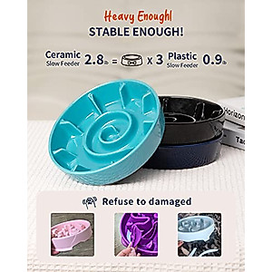 KOFPAR 2 Cup Ceramic Slow Feeder Dog Bowl, 8'' Slow Feeding Dog Dishes Medium Large Breed, Slow Eating Bowl for Fast Eater Anti-Choking Form Healthy Eating Habit, Puppy Puzzle Bowl Non-Slip Easy Clean