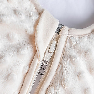 BABYINABAG Very Warm 2.5 Tog Quilted Winter Model Baby Sleep Bag or Sack, Plush Minky Dot for Infants and Toddlers (Large (22 mos - 3T))