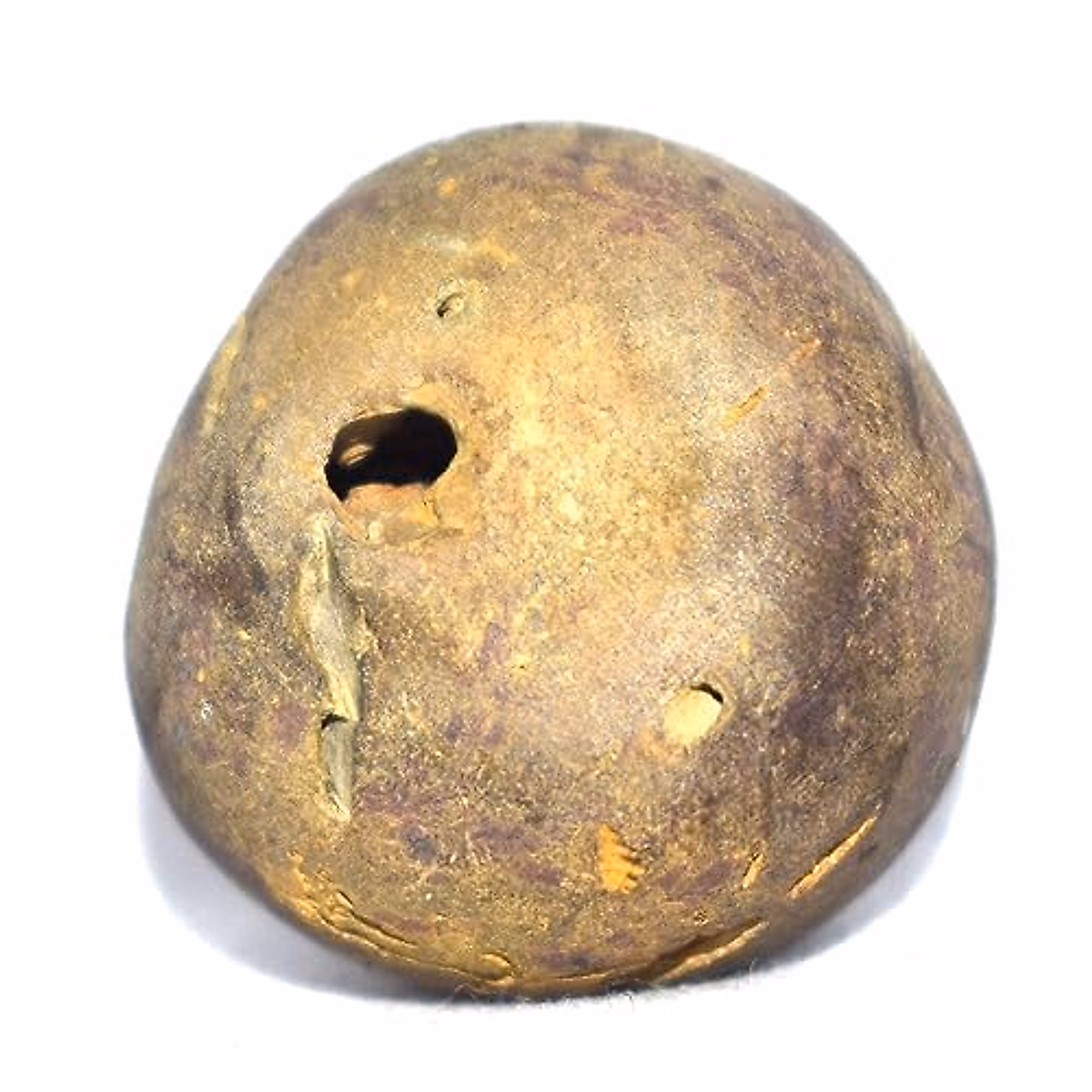 Rare Pitambara Shaligram - Gandaki River Nepal