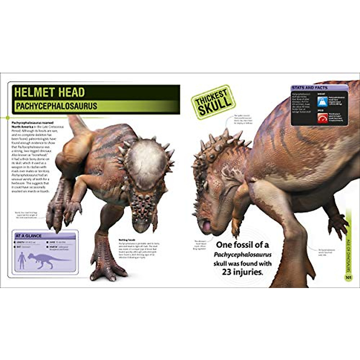 Super Dinosaur Encyclopedia: The Biggest, Fastest, Coolest Prehistoric Creatures (DK Super Nature Encyclopedias)