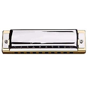 WAAZVXS Harmonica Blues Harp Diatonic Harmonica 10 Hole 20 Tone Musical Instruments Mouth Organ Key C