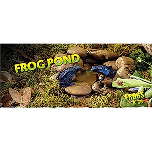 Exo Terra Frog Pond, Amphibian Terrarium Water Source, Large