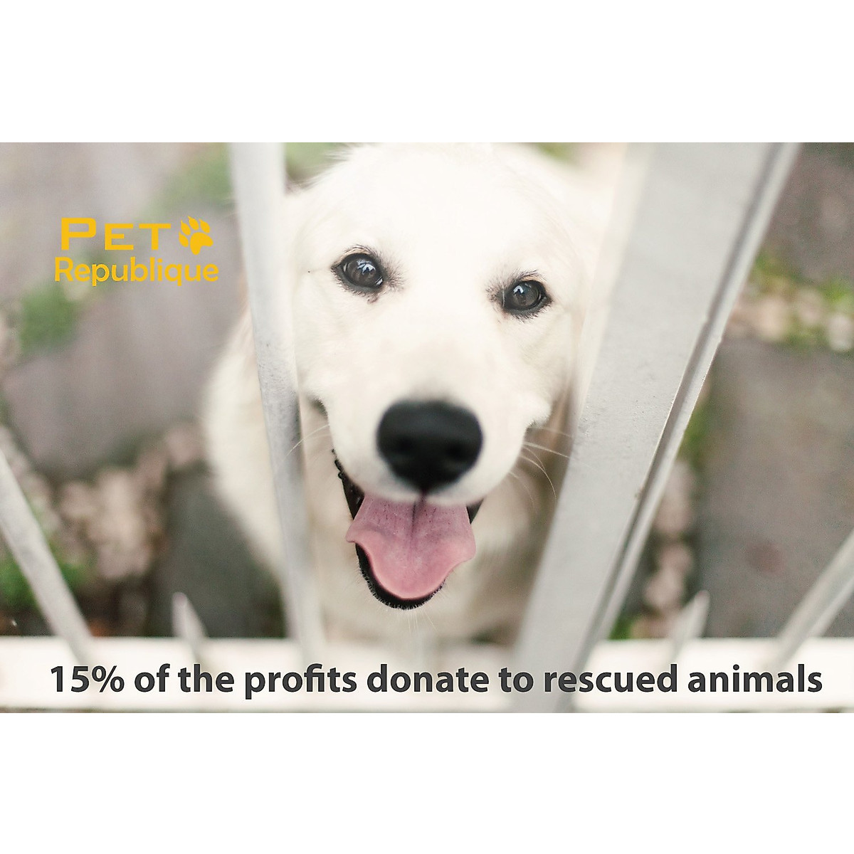 Pet Republique Dog Finger Toothbrush Set of 6 - Dental Brush for Large to Small Dogs, Cats, and Most Pets