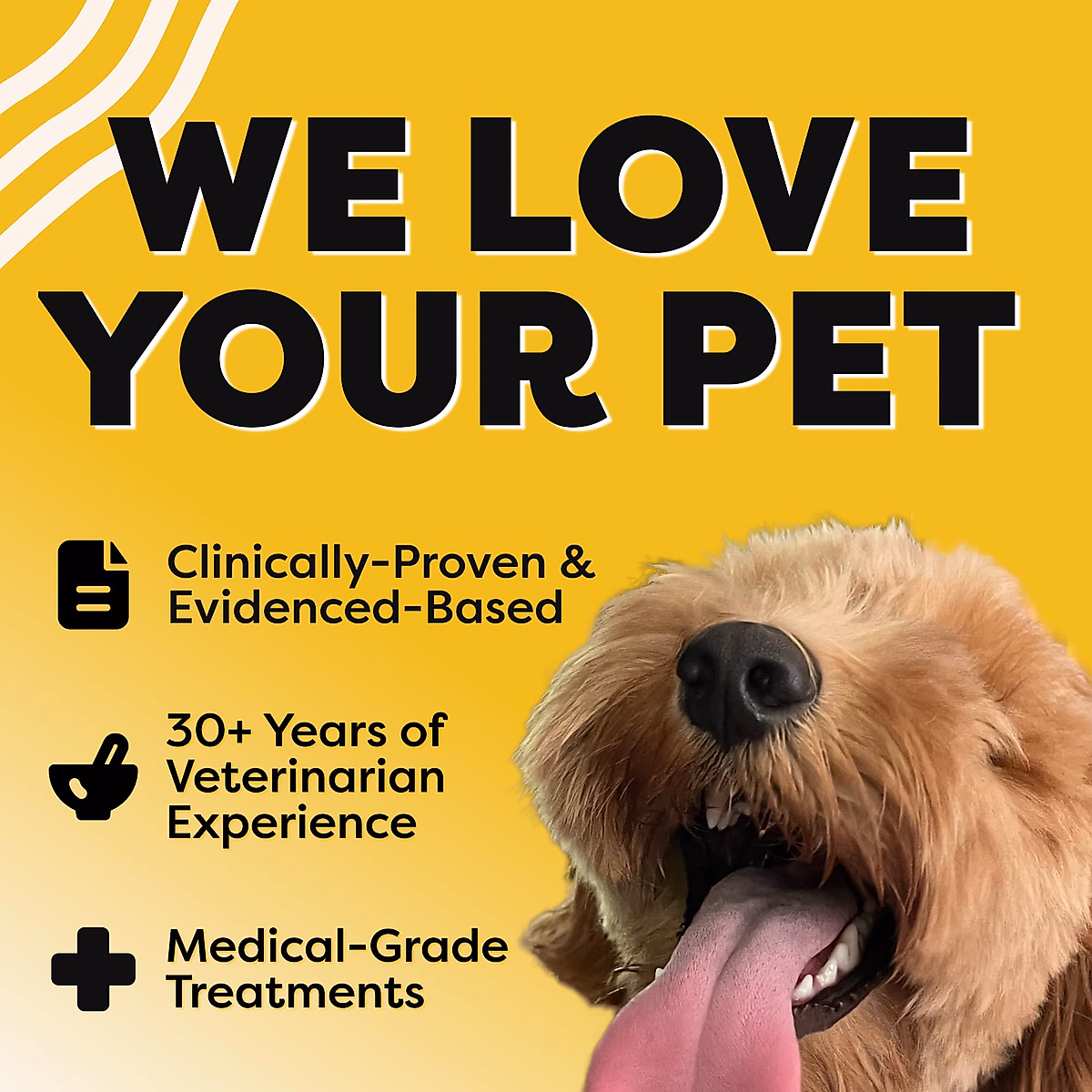 Doc Itchy: Allergy Armor Itch Relief Conditioner & Leave-on-Lotion | Clinical-Strength Zinc & Oatmeal | Banish Rashes, Calm Itch, Rebalance Skin Microbiome | Nurture Skin Health | Made in USA | 12 oz