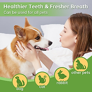 Ancopaws Teeth Cleaning for Dogs & Cats - Dental Care Finger Wipes to Remove Bad Breath - Pet Toothbrush Plaque and Tartar Remover - Tooth Brushing Kit (50 Count)