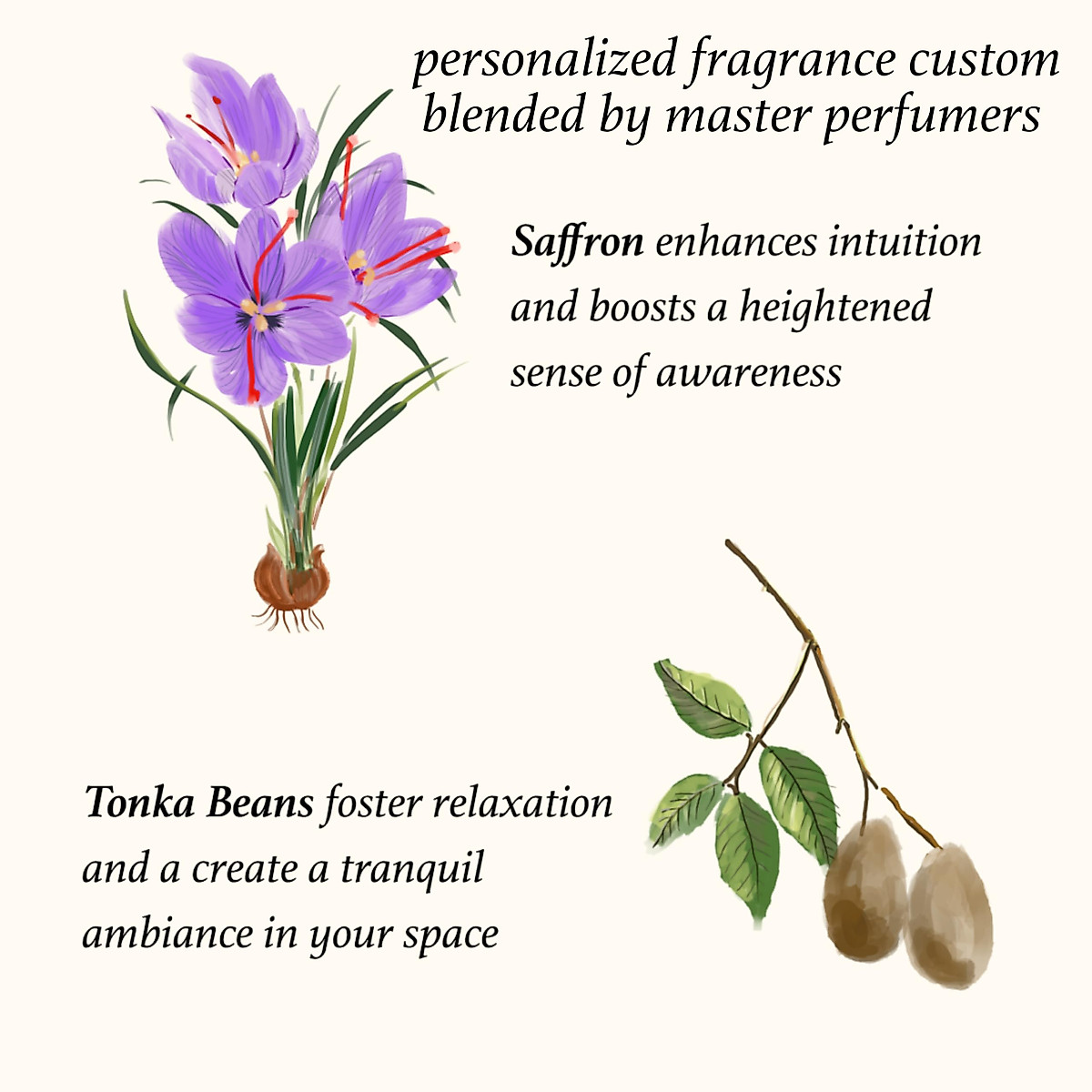 October 27th Personalized Zodiac Candle | Detailed Personality Description for Your Birthdate | Live Astrologer Sessions | Handmade Scorpio Candles | Astrology Christmas Gifts for Women