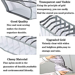 LRIFUE Drawer Organizers for Clothing, Mesh Underwear Drawer Organizer Clothes with Shoe Storage, 4PCS Wardrobe Clothes Organizer Underwear Bra Sock Organizer Halloween Bags for Women