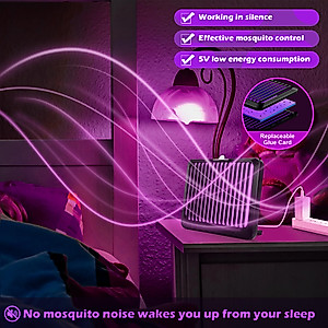 Effective LED Gnats Traps Indoor for Home, Mosquito Traps Indoor for Fruit Flies, Pests, Moths, Flying Insect Trap Indoor for Stop Mosquito Bites, Black [Fly Trap+6 Glue Card]