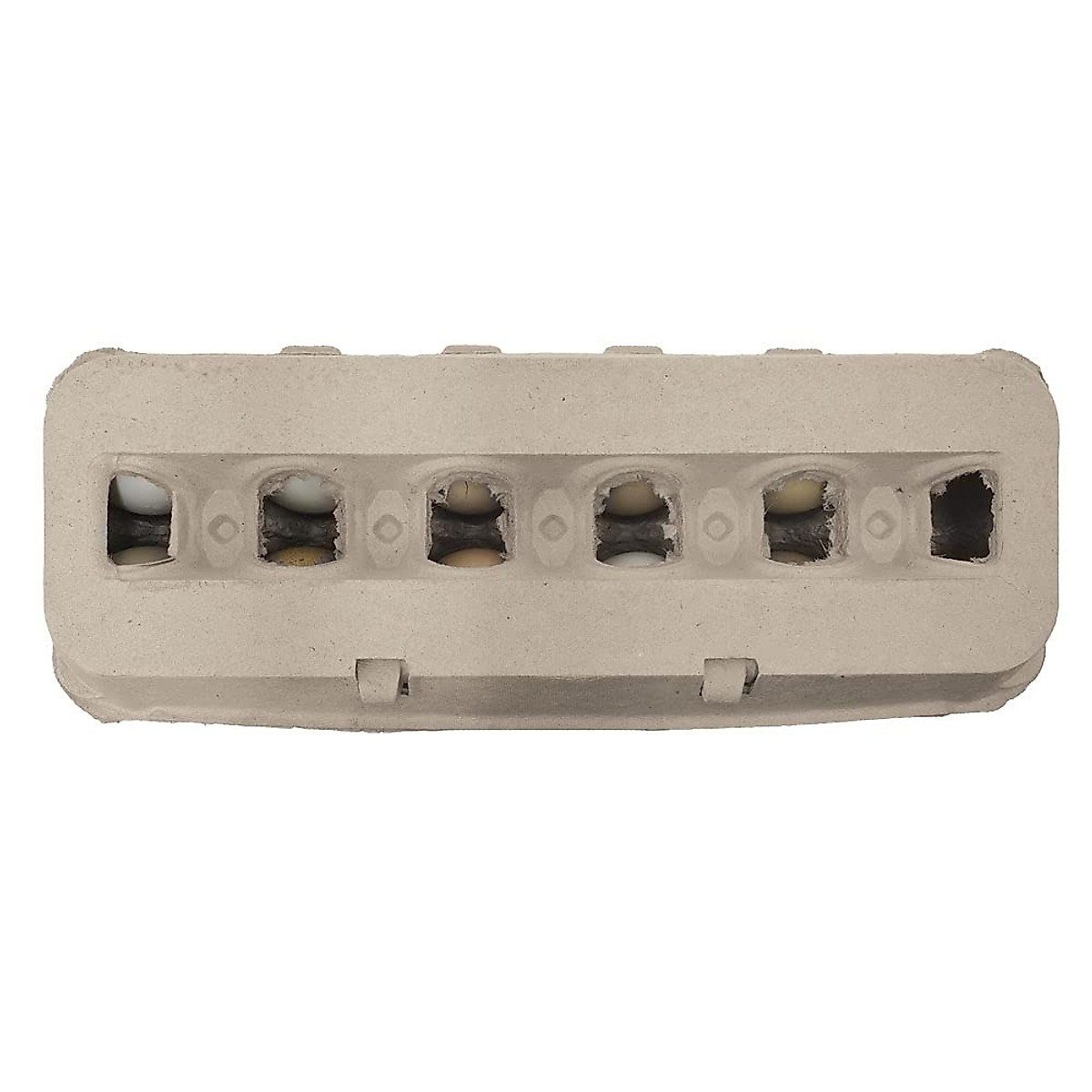 Jumbo Blank Egg Cartons 200 Cnt