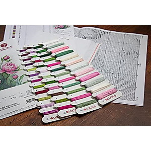 Luca-S Cross Stitch Kit The Charm of Peonies, Counted Cross Stitch Kit for Adults, Embroidery Kit, B7019