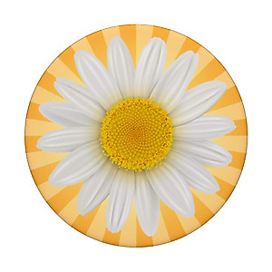 Cute White Flower Daisy With Yellow Sun Ray Background