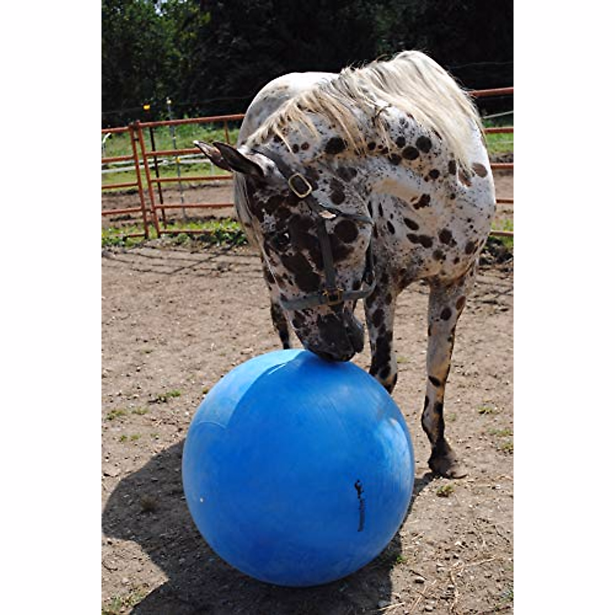 Horsemen's Pride 30-Inch Mega Ball for Horses, Blue