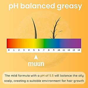 Muun Shampoo Bars and Conditioner Set 3 - Ginger & Coconut - Hair Growth, Anti Hair Loss, Hair Regrowth, pH Balanced- Solid Soap Easy for Travel - Sulfate & Silicone Free