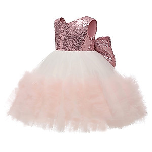 ABAO SISTER Baby Girls Sequined Flower Girl Dress Toddler Princess Tulle Tutu Pageant Ball Gowns, Pink 24M
