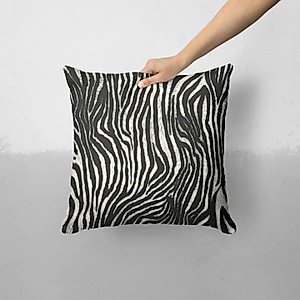 iiRov Real Vector Zebra Print - Custom Decorative Home Decor Indoor or Outdoor Throw Pillow Cover for Sofa, Bed or Couch Cushion (Pillow CASE Cover ONLY)