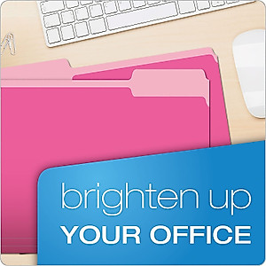 Pendaflex Two-Tone Color File Folders, Letter Size, 1/3 Cut, Pink, 100 Per box (152 1/3 PIN), 12 x 9.88 x 2.38 inches