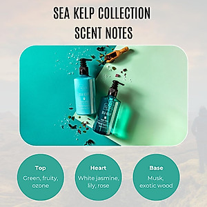 Scottish Fine Soaps Sea Kelp Shampoo 10.5 Ounces