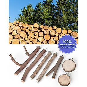 Bissap Bird Perch Stand 7PCS, Natural Grape Wood Pole Standing Parrot Cage Branch Paw Grinding Fork Parakeet Platform Hammock for Conures Budgies Finches Cockatiels Small Birds Exercise Training