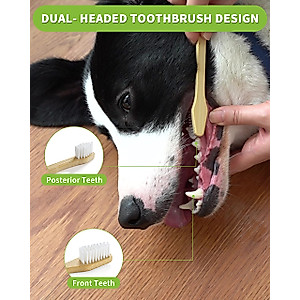 Lingtoolator Toothbrush - 6 Pack Bamboo Toothbrush for Dogs Cats - Soft Bristles - Gentle Pet Toothbrush for Easy Dog Teeth Brushing Den